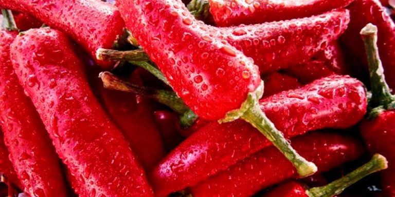 Salsa andalouse, el acompañamiento perfecto - Cocinateelmundo.com